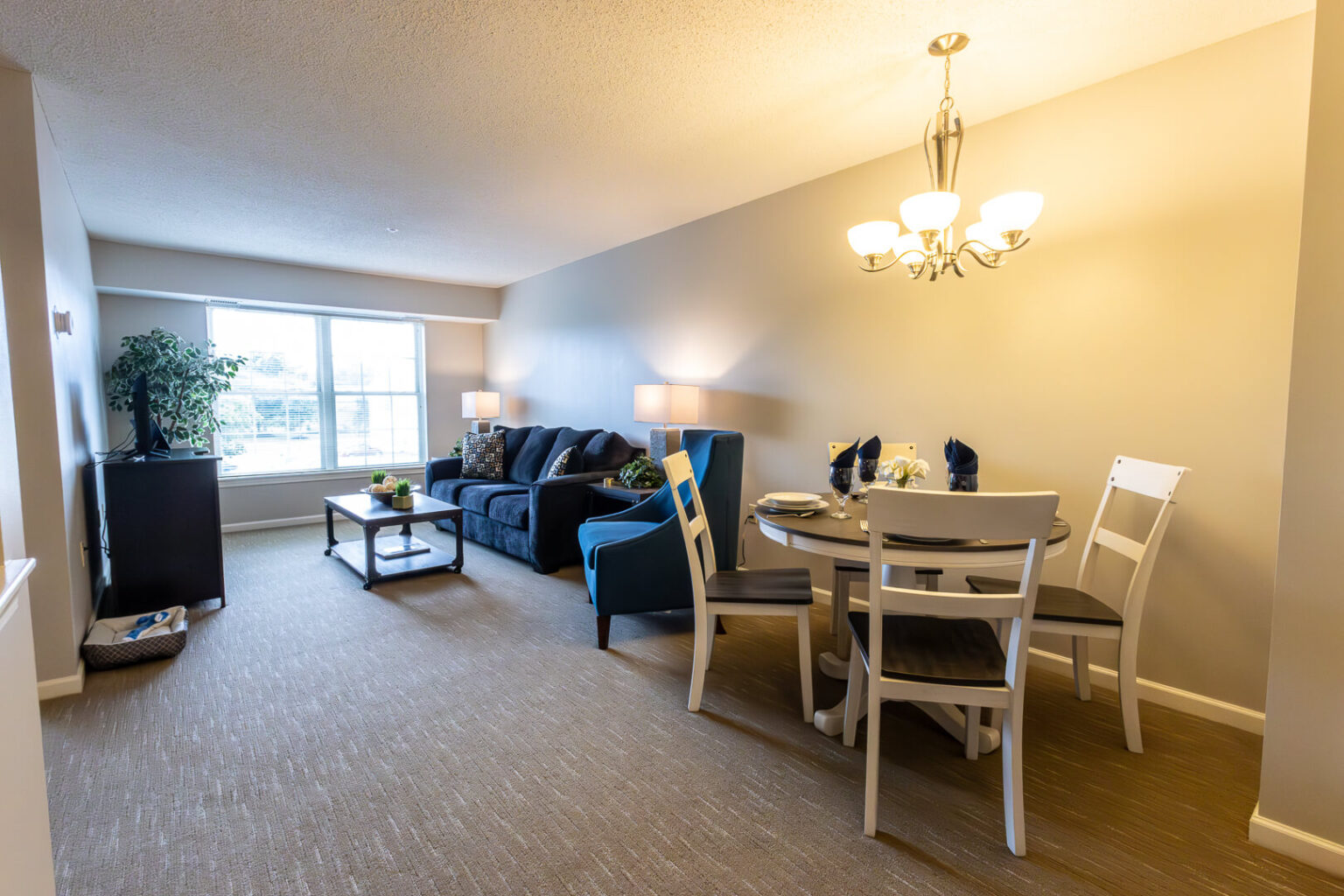 Photos of Elison Independent Living of Orchard Glen in Orchard Park NY